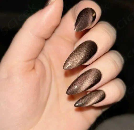 The 35 Best Cat Eye Nails That Are Too Good Not to Try in 2026 - Stolen ...